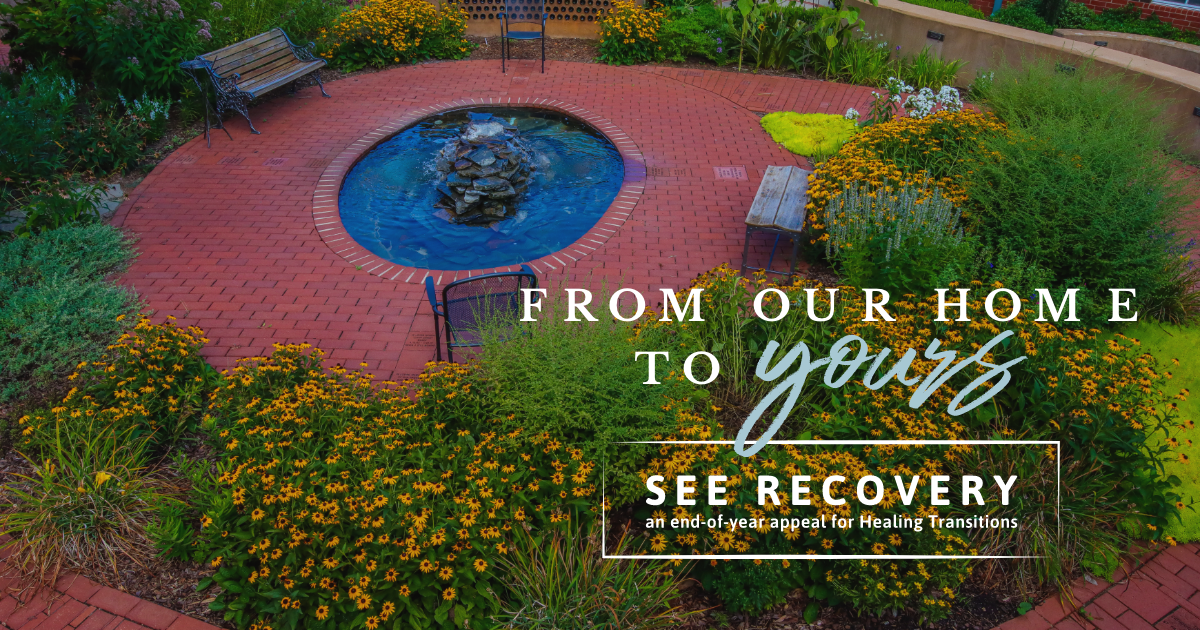See Recovery 2020 | Healing Transitions