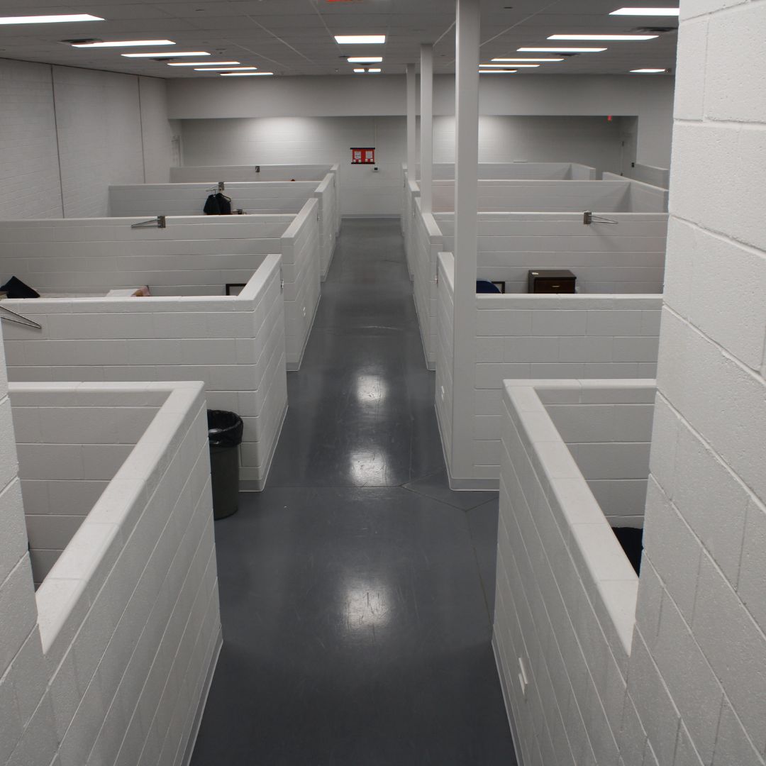 The New Shelter | Healing Transitions